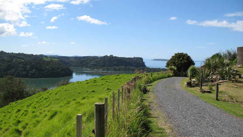 Matakana Vineyards Coastal Getaway - Wine Tour - Epic deals and last ...