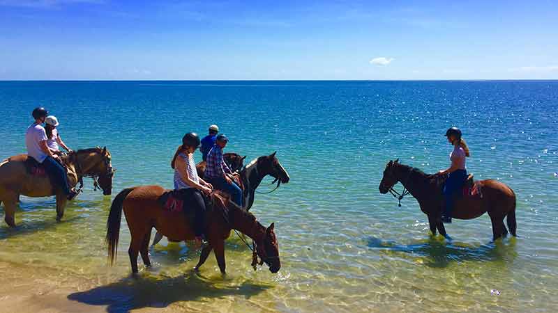 Horse Riding Port Douglas