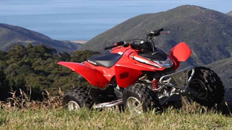 Guided Quad Bike Expedition - Epic deals and last minute discounts