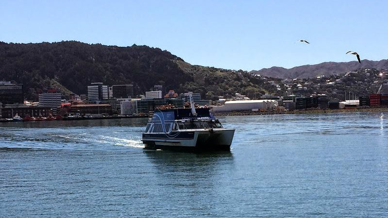 Return Ferry to Days Bay - East by West Ferries - Epic deals and last ...
