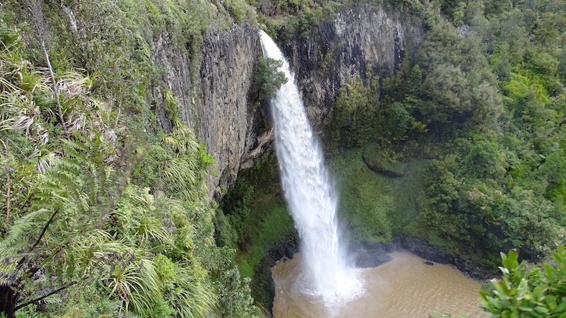 Raglan Scenic Tours - Bridal Veil Falls - Epic deals and last minute ...