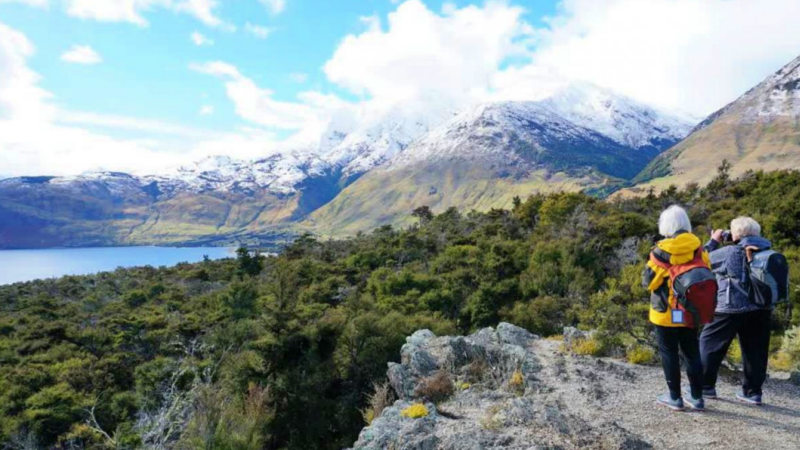 Stevensons Island Cruise & Nature Walk - Lake Wanaka Cruises - Good
