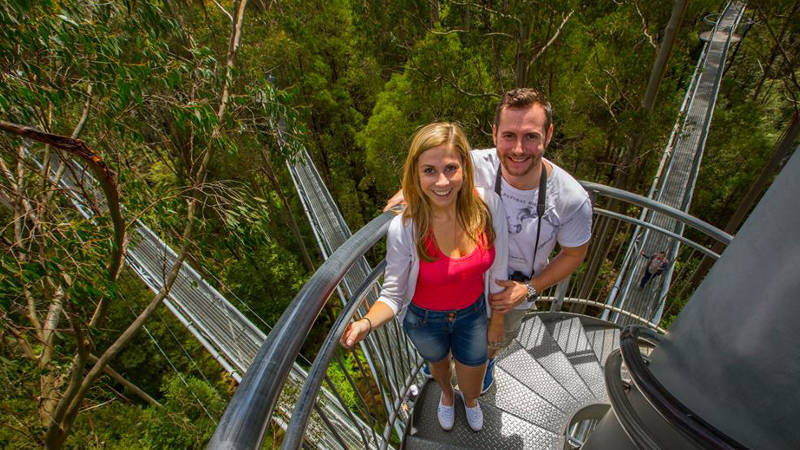 Treetop Walk - Otway Fly Treetop Adventures - Adults at Kids Deals ...