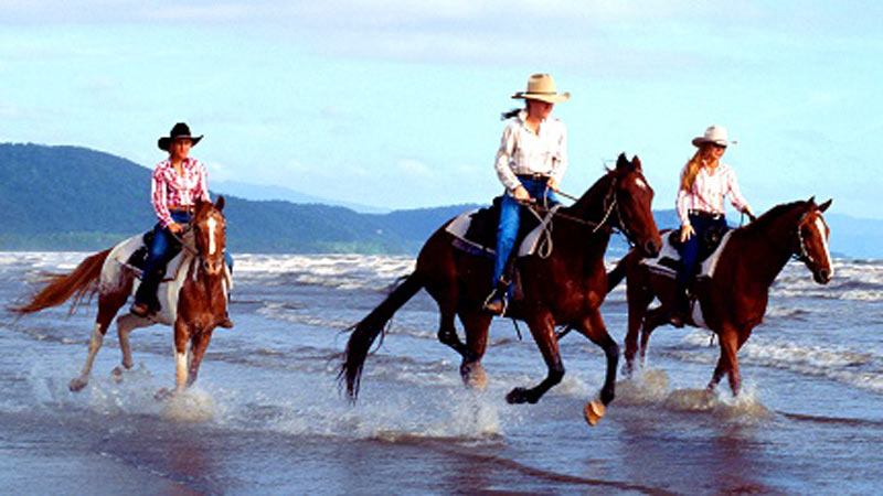 Horse Riding - Ride the Beach Half Day - Port Douglas - Epic deals and ...