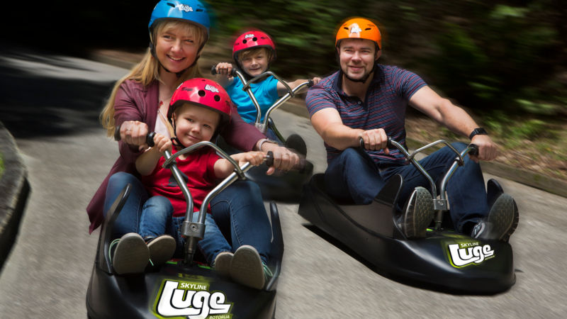 Skyline Rotorua Gondola and 4 Luge Ride Pack - Rotorua - Epic deals and ...